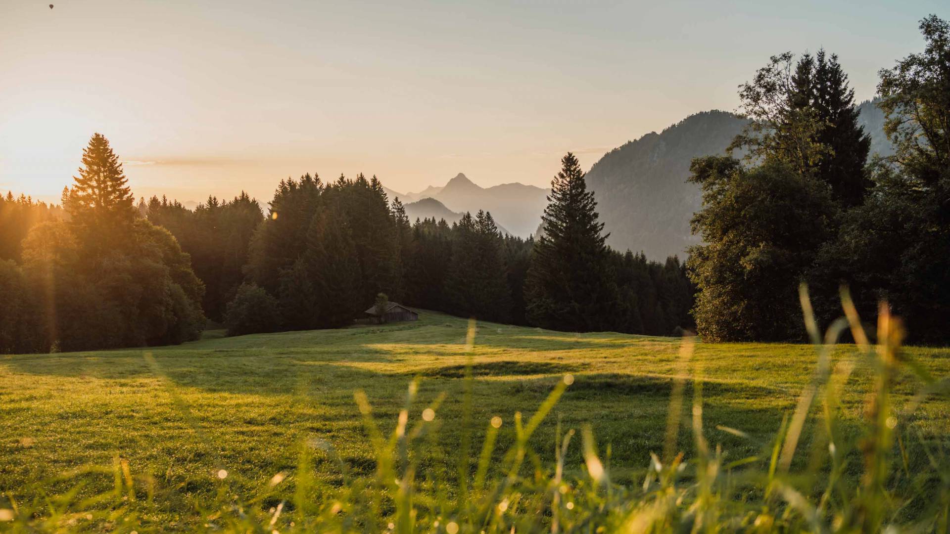 Chalet-Urlaub auf der Edelsberghütte (ehem. Gundhütte) - Hotel Das Rübezahl